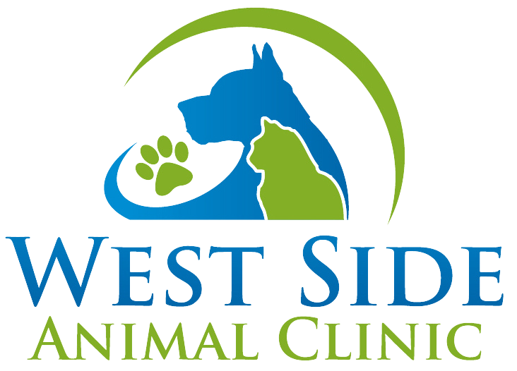 Privacy Policy | West Side Animal Clinic