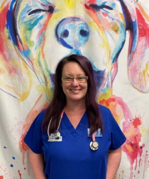 Best Vet Hospital In Hamilton, OH | West Side Animal Clinic