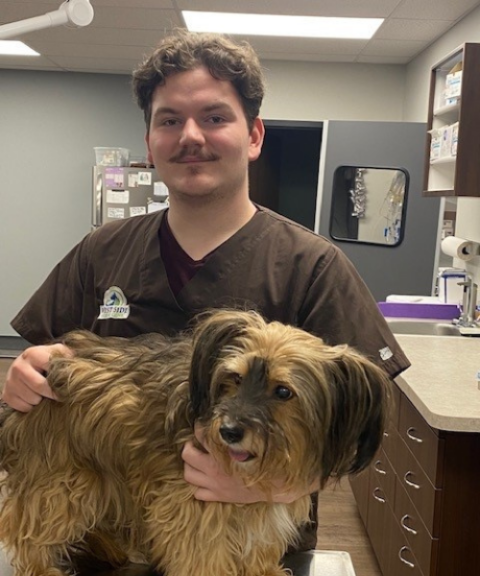 Best Vet Hospital In Hamilton, OH | West Side Animal Clinic